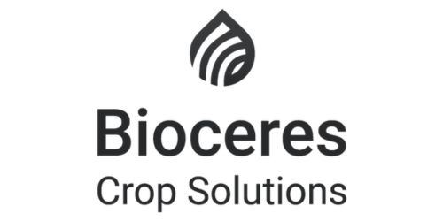 Inicio | Morning Value